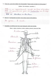 CE2 a | Blogue de continuité pédagogique